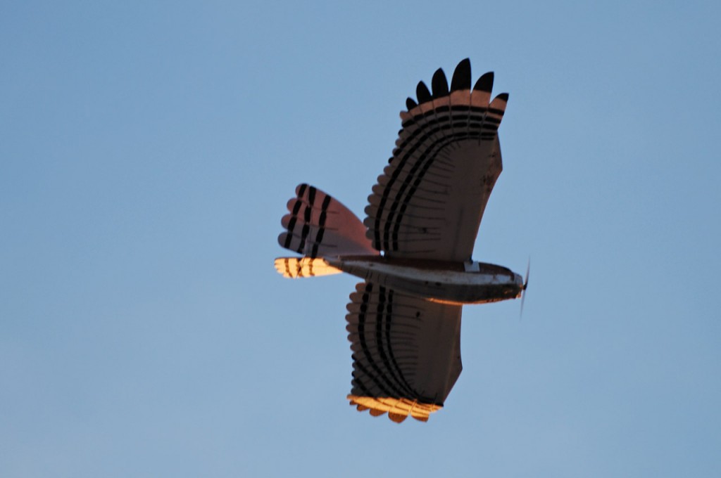 UAV innovation is in the Cloud; 3 precision Ag innovations to watch for ...