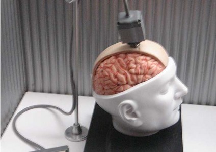 The gateway to advanced neuroprosthetics: Jessica Feldman talks ...