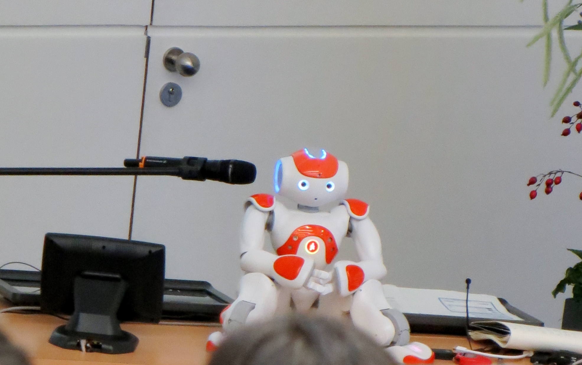 NAO Next Gen now available for a wider audience - Robohub
