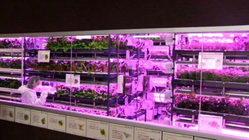 Urban vegetable garden system with LED lighting - Robohub