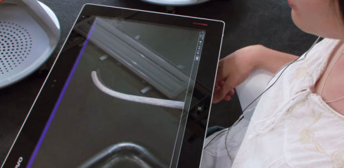 Researchers use artificial tail to study how we adapt to brain-machine ...