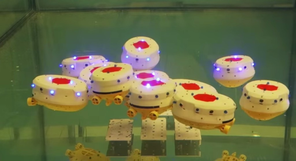 The Year of the CoCoRo Video #23/52: Lily aggregation experiments - Robohub