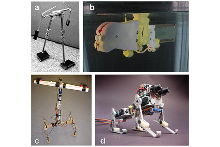 Morphological computation: The hidden superpower of soft-bodied robots ...