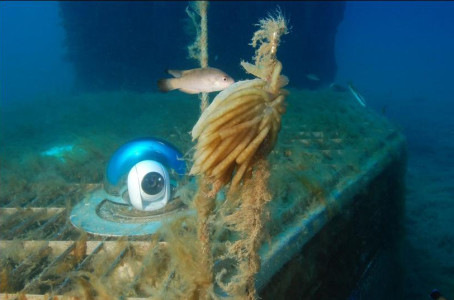 Into the deep: Underwater machines keep an eye on climate change - Robohub