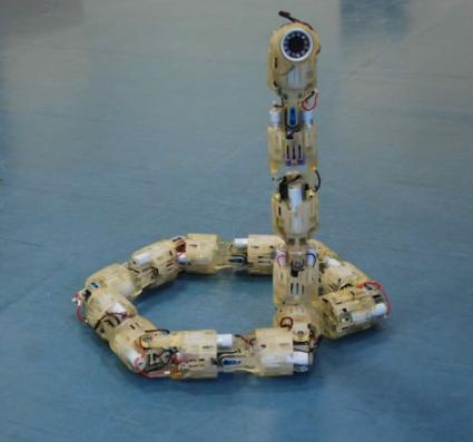 Snake robots slither into our hearts, literally - Robohub