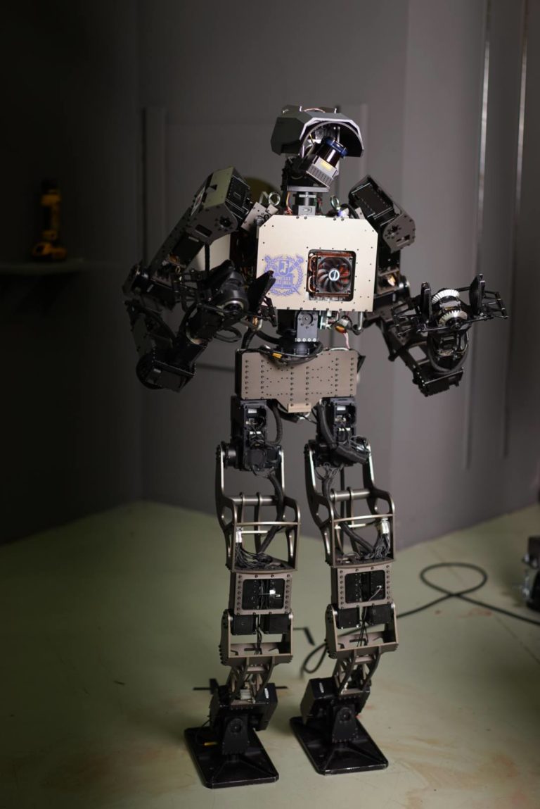 Humanoids 2017 photo competition and winners - Robohub