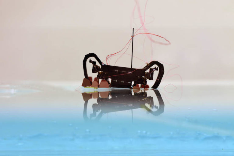 Next-generation robotic cockroach can explore under water environments ...