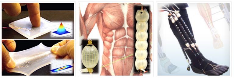 Bio-inspired Soft Robots for Healthcare - Robohub Bio-inspired Soft Robots for Healthcare - Robohub