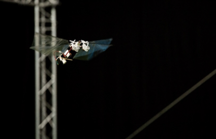 DelFly Nimble mimics the high-speed escape of fruit flies - Robohub