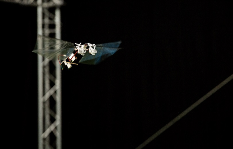 DelFly Nimble mimics the high-speed escape of fruit flies - Robohub