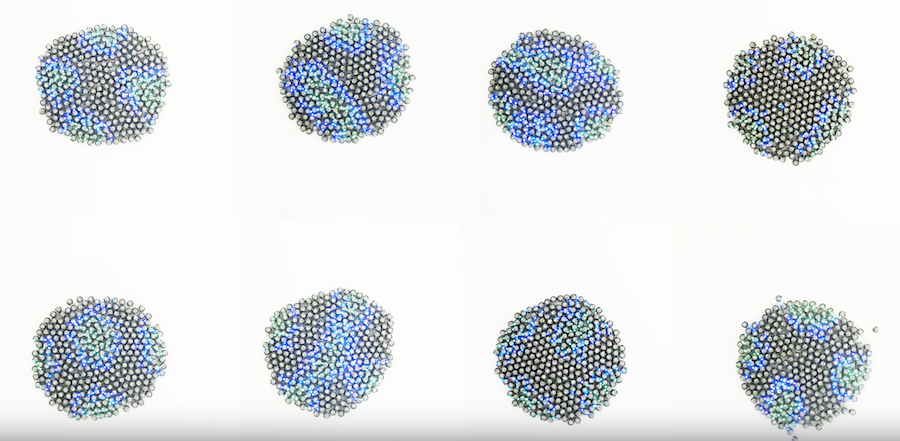 Growing Bio Inspired Shapes With A 300 Robot Swarm Robohub