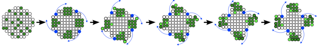 Growing bio-inspired shapes with a 300-robot swarm - Robohub