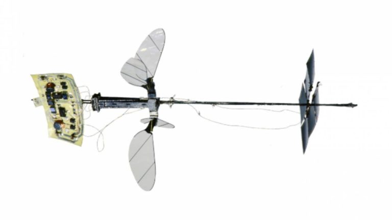 The RoboBee flies solo - Robohub