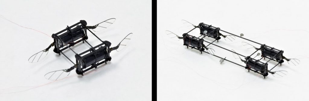 RoboBee powered by soft muscles - Robohub