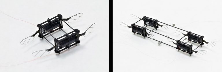 RoboBee powered by soft muscles - Robohub