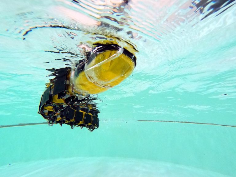 Swimming robot gives fresh insight into locomotion and neuroscience ...