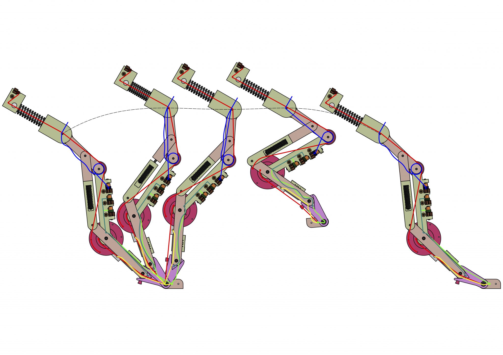 BirdBot is energy-efficient thanks to nature as a model - Robohub