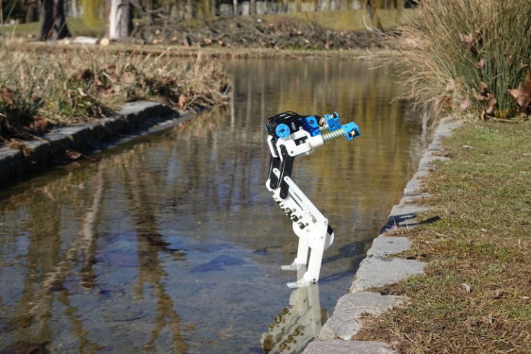 BirdBot is energy-efficient thanks to nature as a model - Robohub