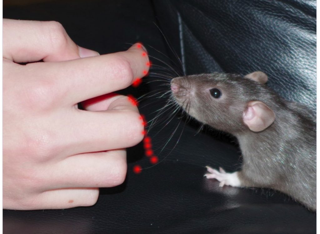 Touch Sensing An Important Tool For Mobile Robot Navigation Global Business Related News