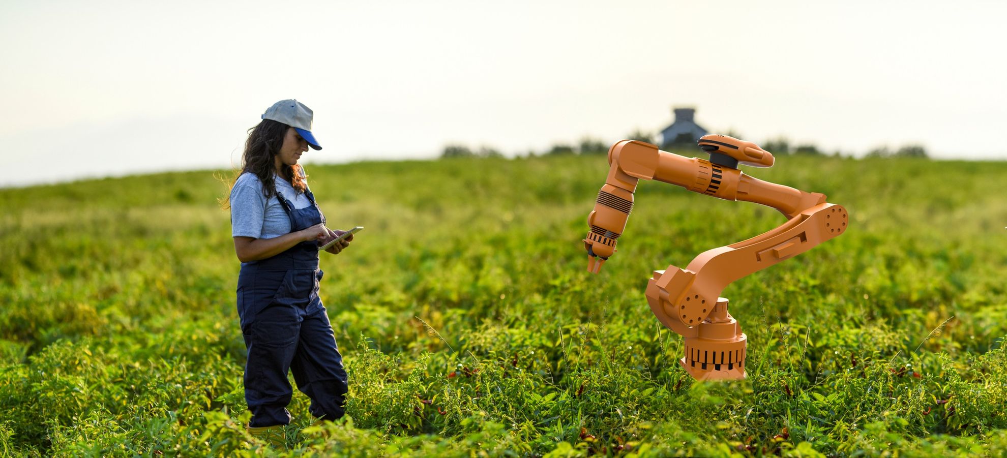 Futuristic fields: Europe’s farm industry on cusp of robot revolution ...
