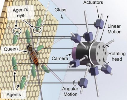 Robotic bees and roots offer hope of healthier environment and ...