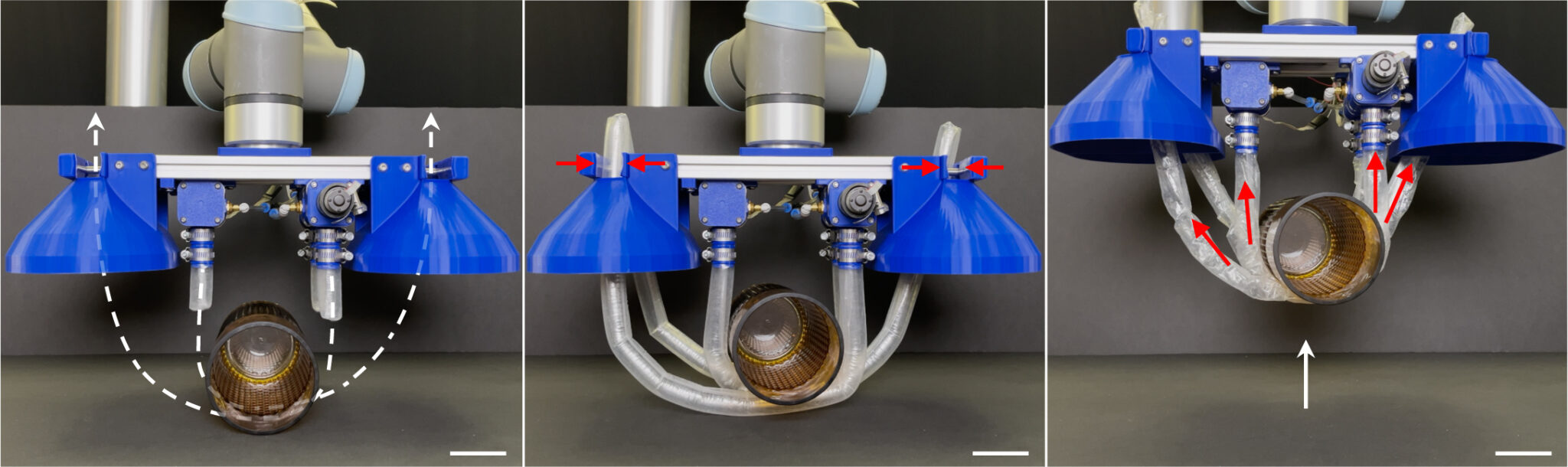 Vine-inspired robotic gripper gently lifts heavy and fragile objects ...