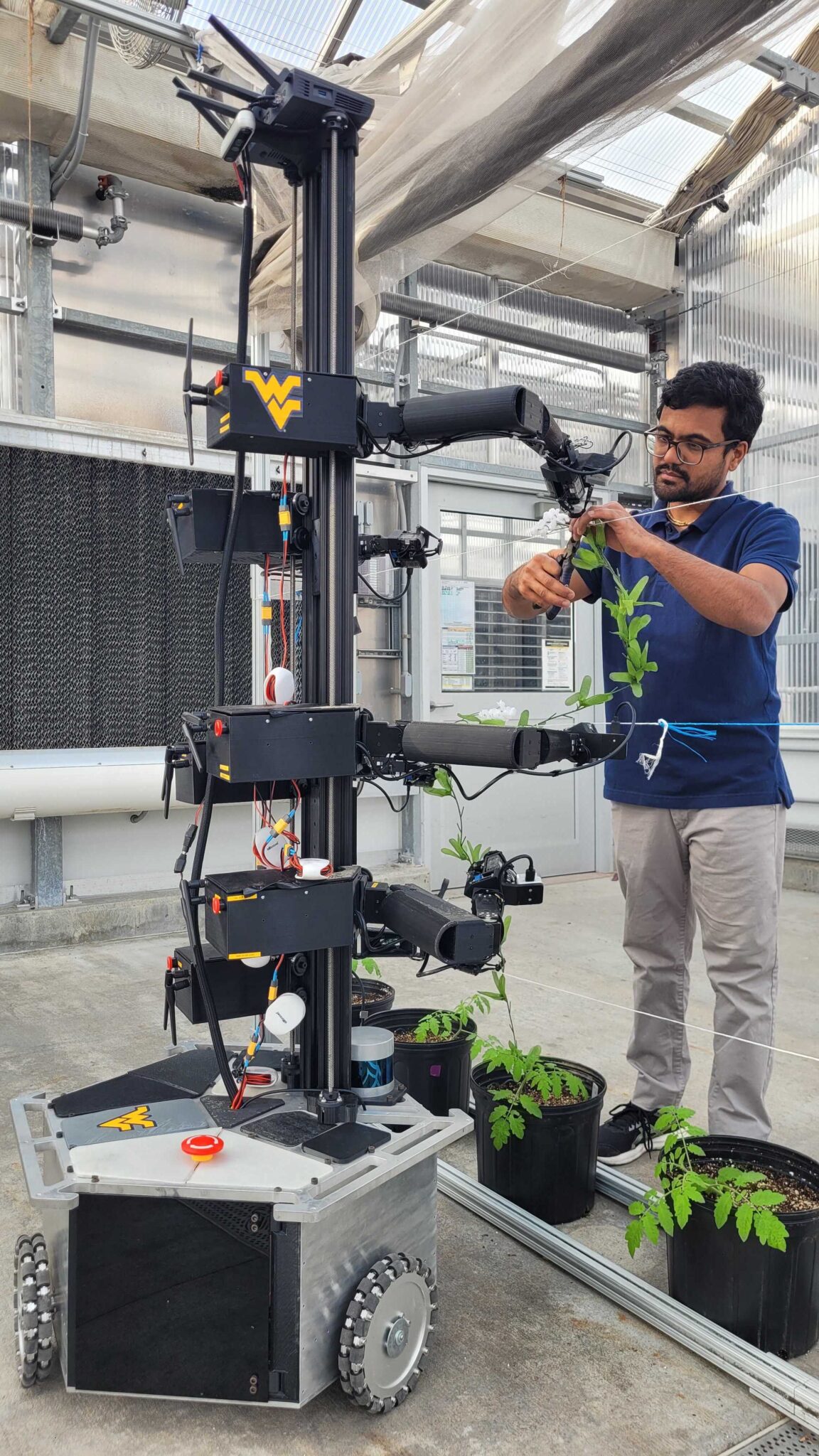 A multi-armed robot for assisting with agricultural tasks - Robohub